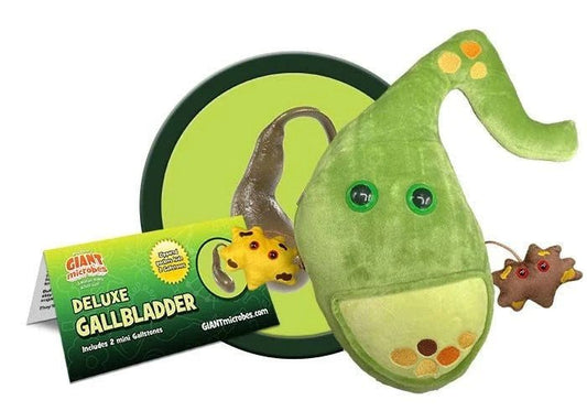Bile Buddy: Your Gallbladder Plush! – Ziya Blue